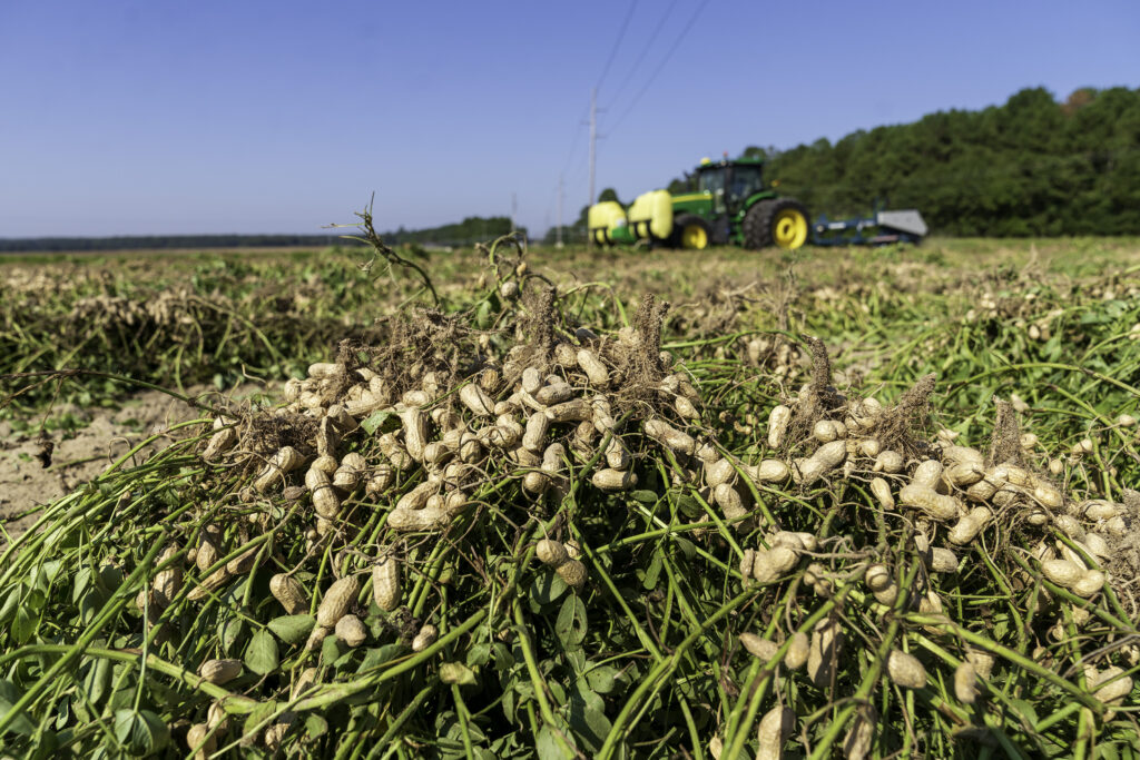 The Powerful Story of the Peanut - PowerSource
